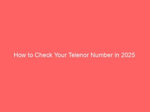 How To Check Your Telenor Number